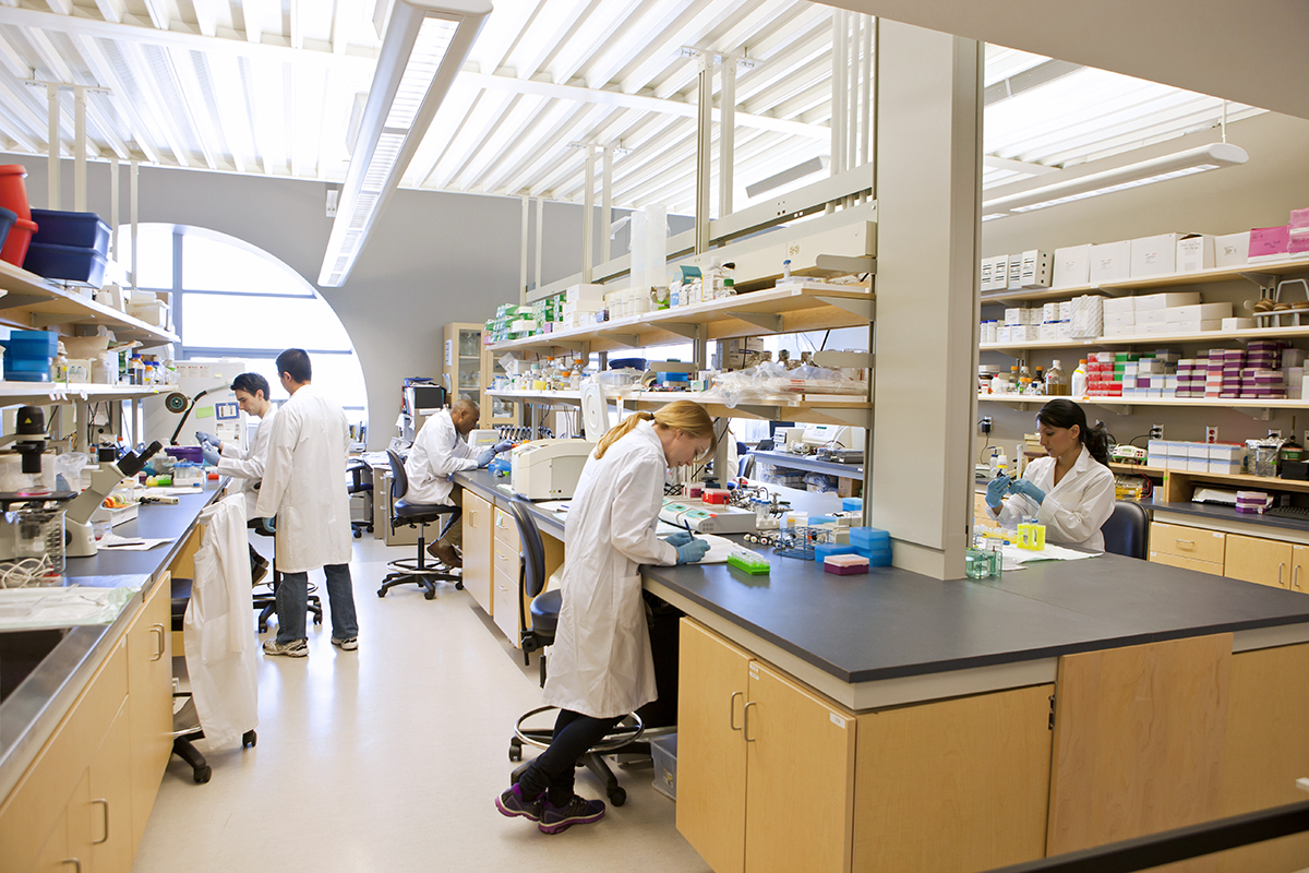 LifeSci NYC Resources | LifeSci NYC