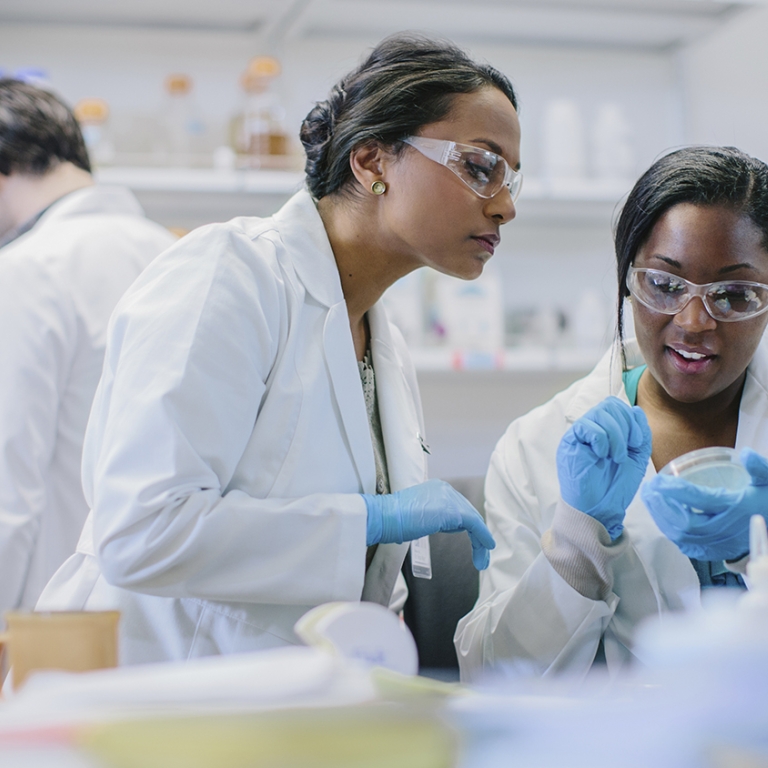 A Recovery for All Of Us: New York City Invests $1 Billion in Life ...