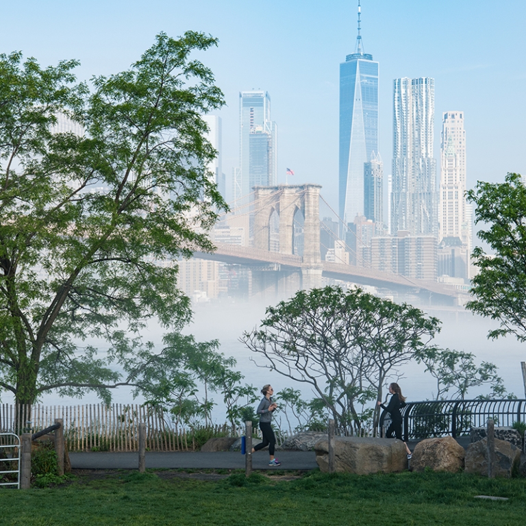 NYCEDC Unveils Strategic Vision for Sustainable Bioeconomy in New York ...